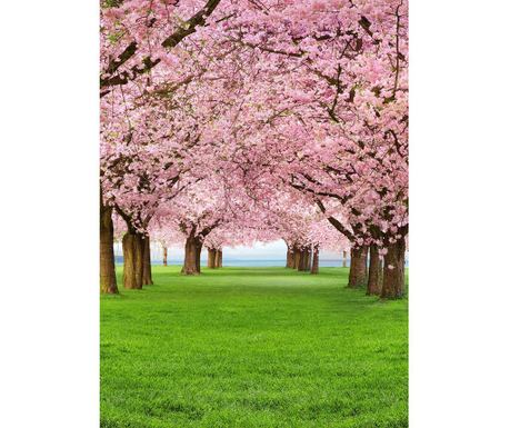 Cherry Trees Tapéta 183x254 cm - Vivre