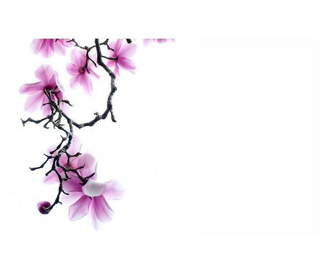 Perdea tip panou Height flower 140x200 cm - Vivre
