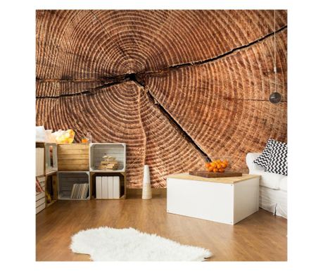 Tree trunk cross section Tapéta 270x350 cm - Vivre